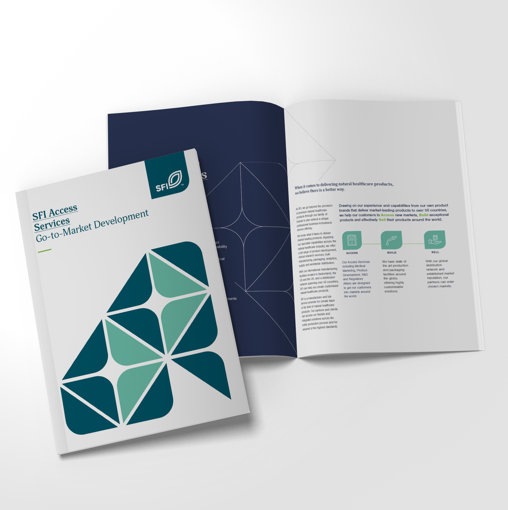 SFI – Access Services Booklet – Pixel Jam Design